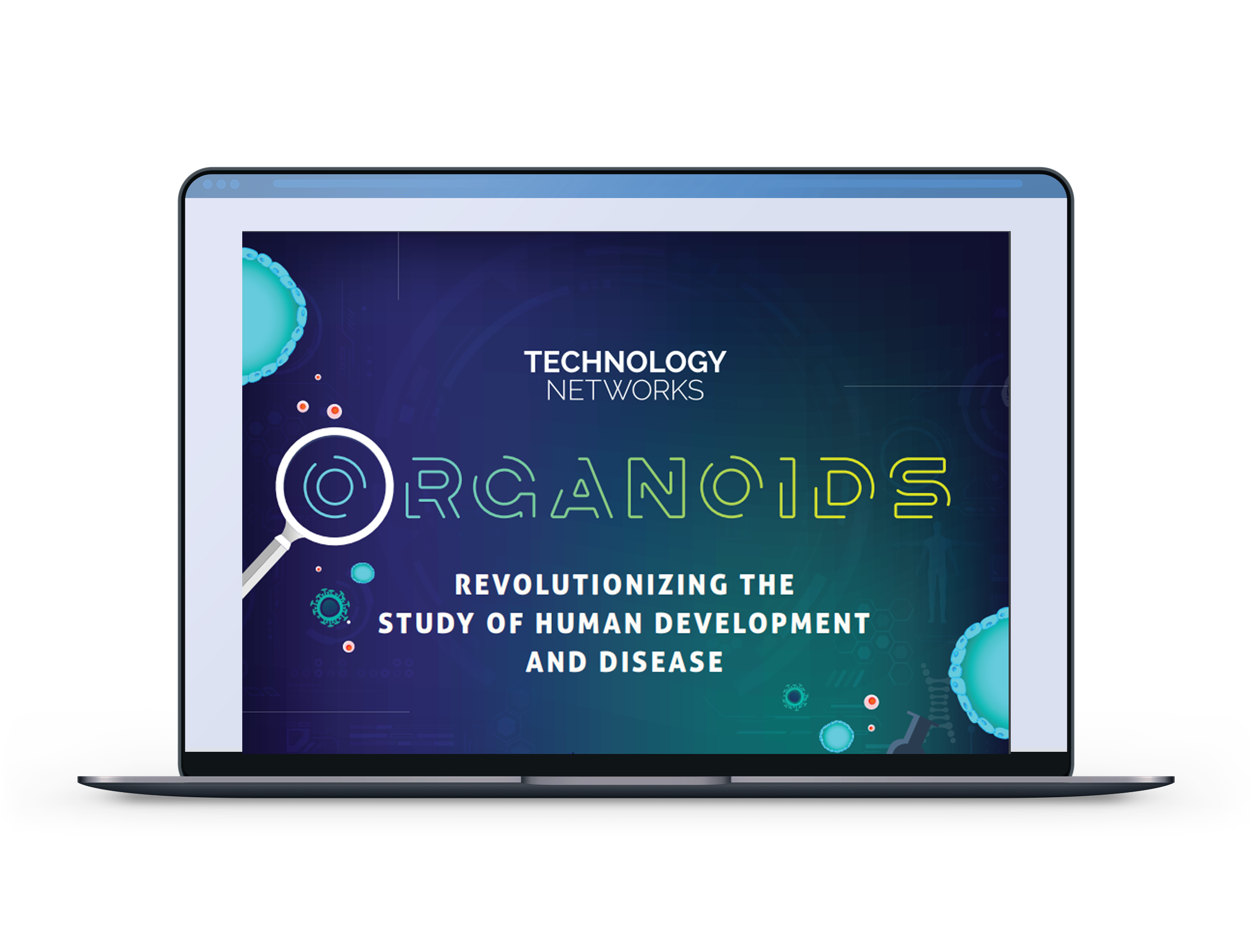 Organoids – Revolutionizing the Study of Human Development and Disease