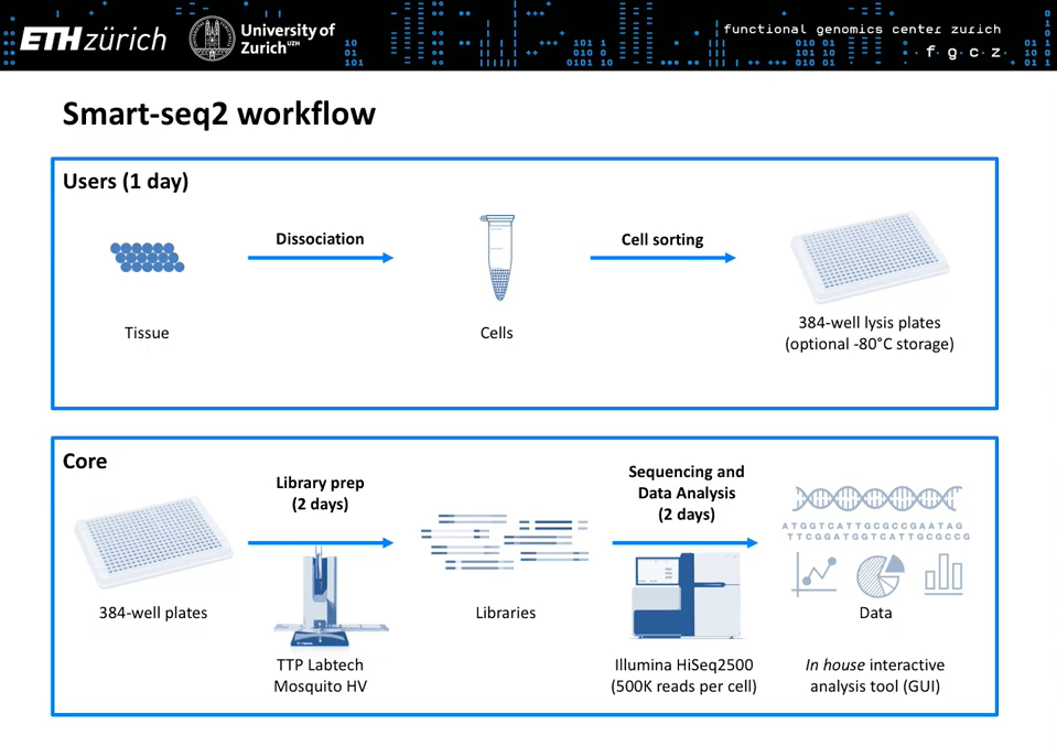 Combination of scRNA-seq Strategies to Untangle Complex Cell ...